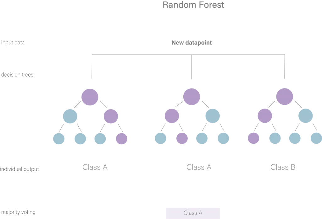 Random Forest – Annie Wong